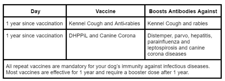 Essential Vaccines for Dogs and Puppies To Keep them Safe