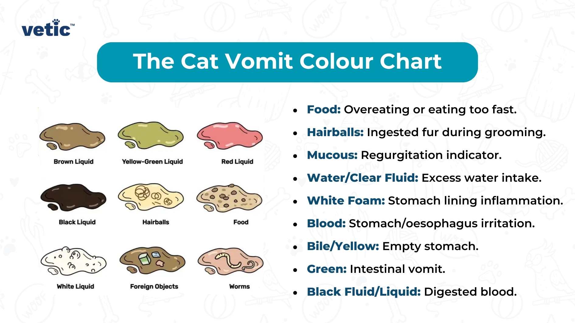 Vomit Vomit