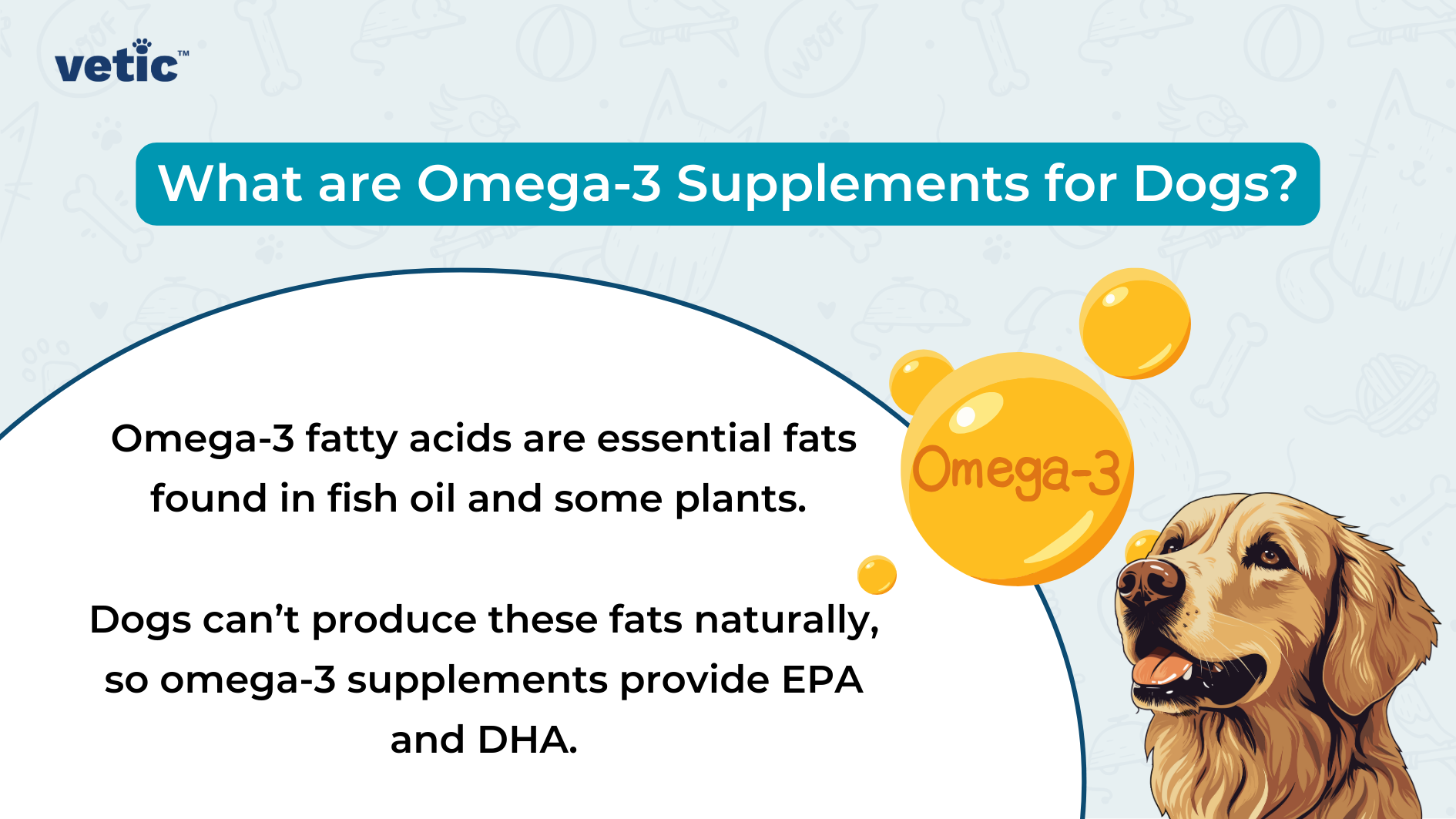 Natural Dog Food With Omega 3 And Turmeric Gallery Information Natural Dog Food With Omega 3 And Turmeric Gallery Information