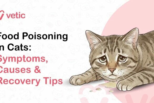 20 Cat Sleeping Positions and What They Mean
